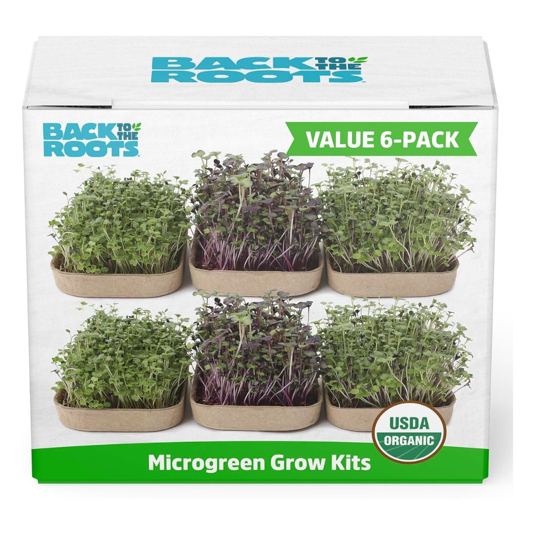 Back to the Roots DIY Microgreen Grow Kit - Mik Zenon