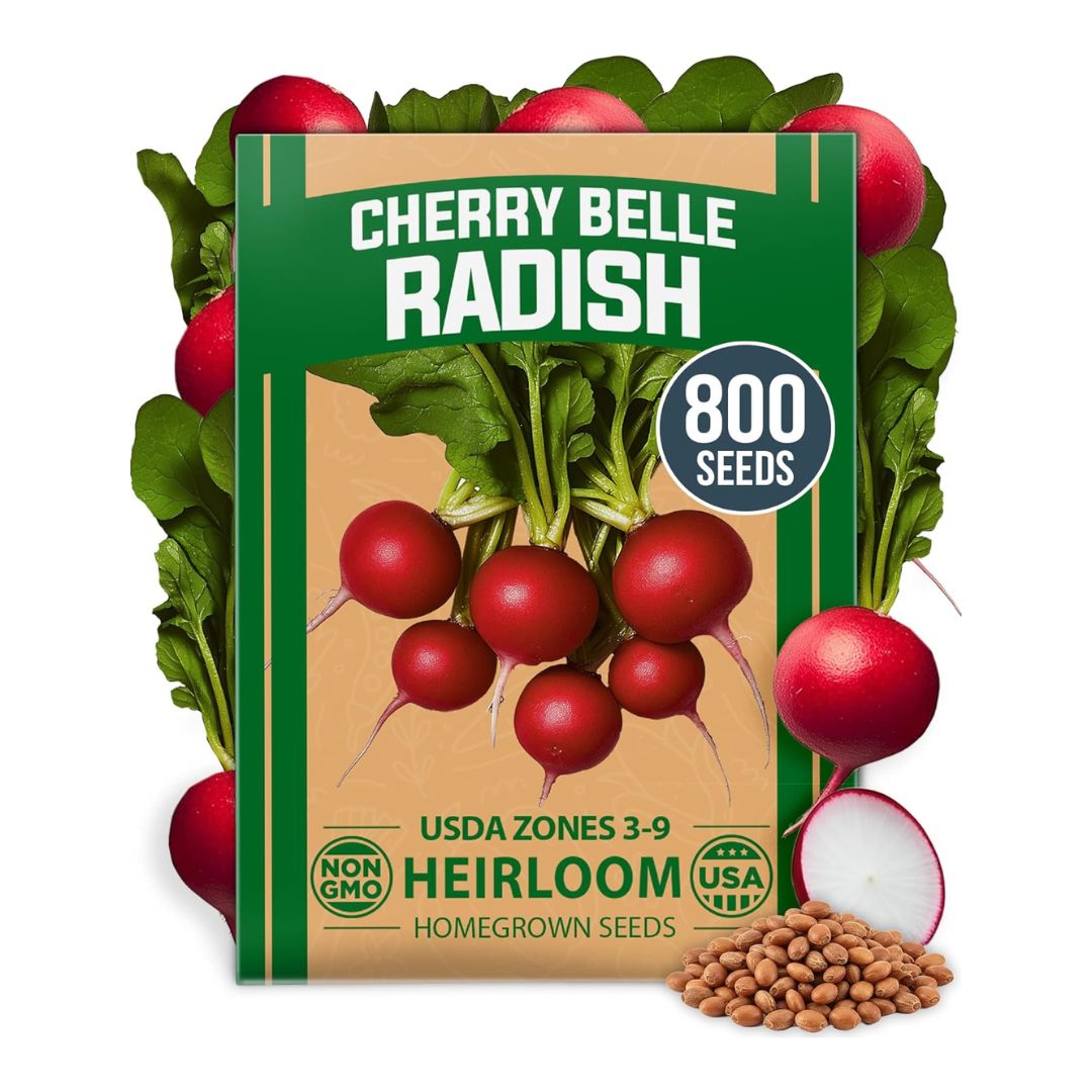 HOME GROWN Cherry Belle Radish Seeds - Mik Zenon
