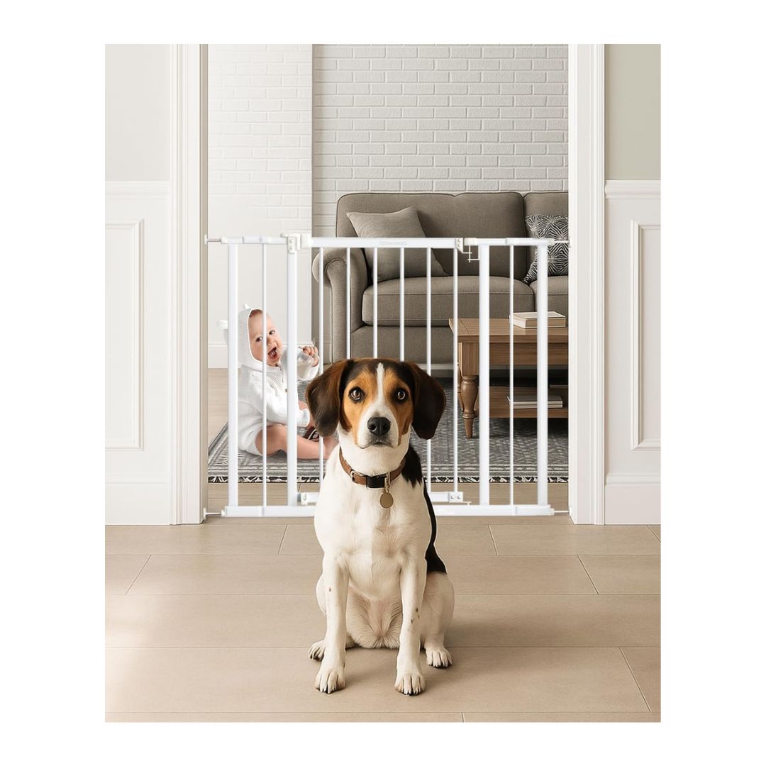 Baby Gate - Mik Zenon